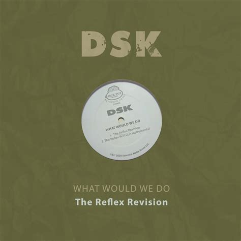 Dsk What Would We Do The Reflex Revision Compact Discs Cd Best Buy