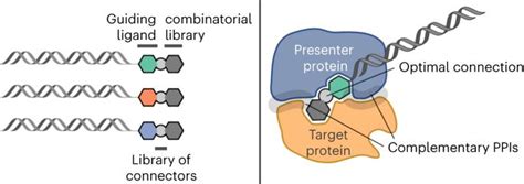 Our Paper On Bias Dna Encoded Libraries Dels Frederic Zecri Posted