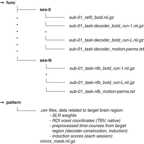 Dataset Structure And Content The Structure Is For A Representative