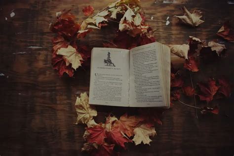 must read books for machine learning and ai