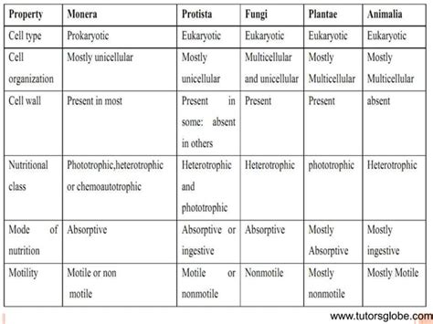 Microbial Taxonomy And Classification System Pptx Biological