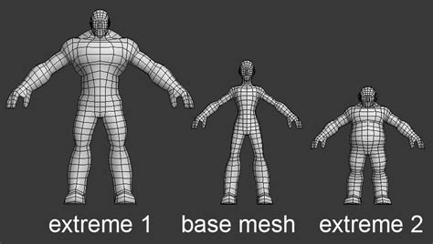 Mid Poly Anatomy Learning Resources — Polycount