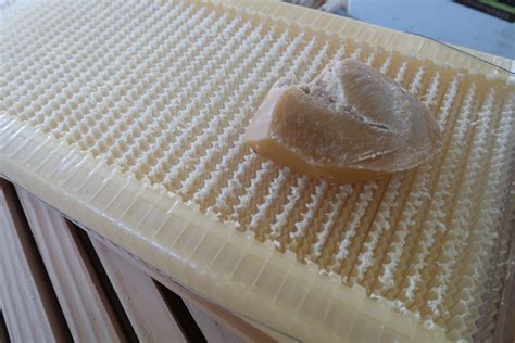 Encouraging Bees To Use Flow Frames