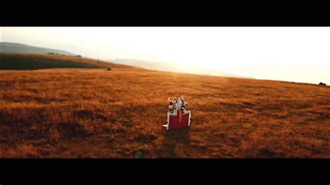 სტაფილოstory კურდღელი Vs მგელი Youtube