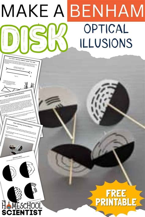 Make A Benham Disk The Homeschool Scientist