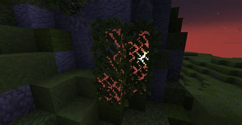 Weird Issue When Using Moreculling And Vanilla Tweaks Bushy Leaves Resourcepack Issue