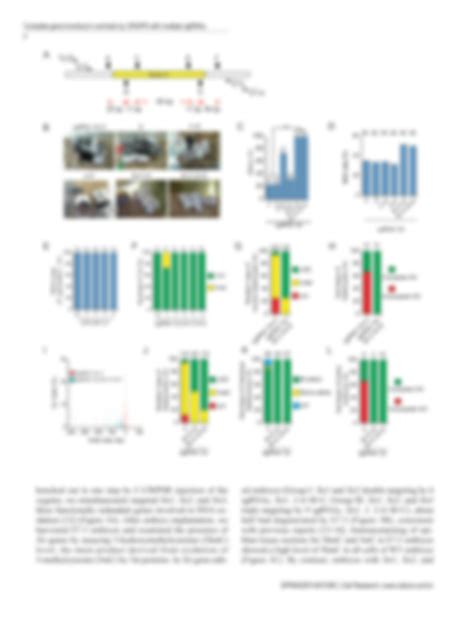 Solution One Step Generation Of Complete Gene Knockout Mice And