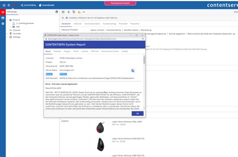 Migrate To Contentserv Cs19 Conigon