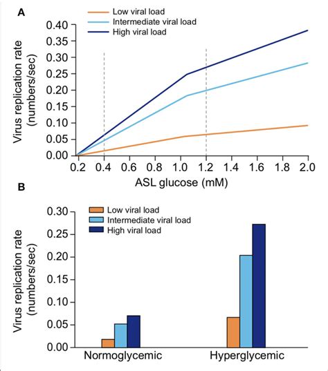 Simplified Computational Model Of Sars Cov 2 Replication Rate As A