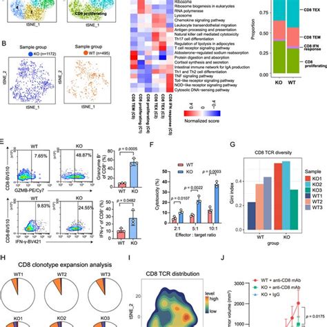 single cell rna sequencing scrna seq analysis revealed a distinct