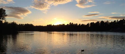 Adding Timestamps To Bash Scripts With Ts