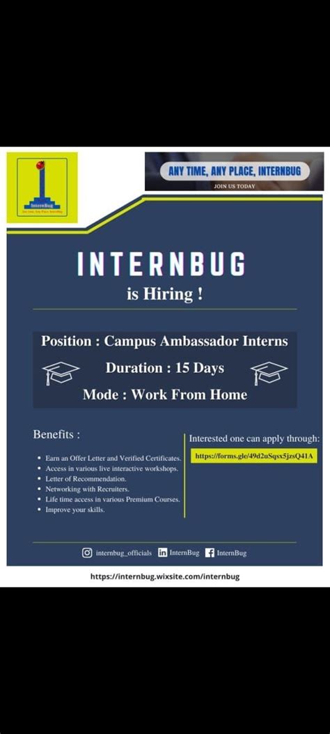 santhoshe t on linkedin internbug