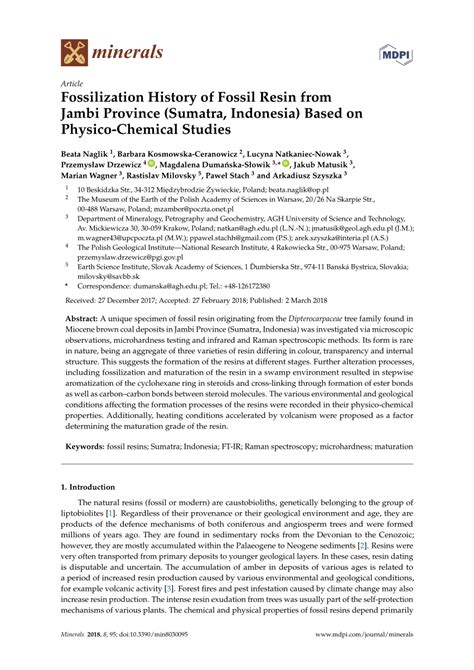 Pdf Fossilization History Of Fossil Resin From Jambi Province