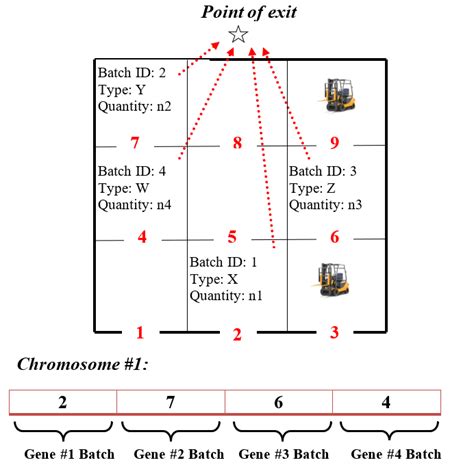 Chromosome Representations In The Ga Model Download Scientific Diagram