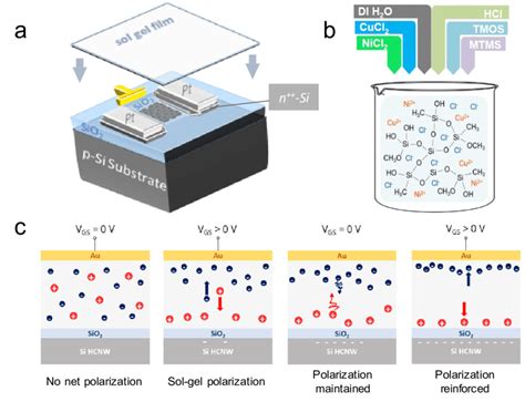 Schematics Of The Hybrid Device And Its Function A Depiction Of The Download Scientific