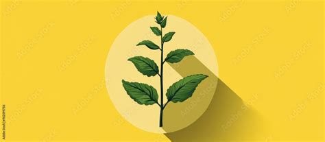 Yellow Circular Label Design Featuring A Plantain Medicine Plant With A