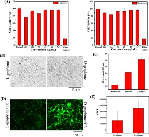 Investigation Of Cellular Compatibility And Uptake Of L Graphene And Download Scientific