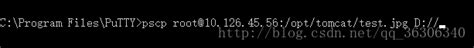 用putty 连接linux以及实现 windows和linux文件互传 putty 传输文件 csdn博客