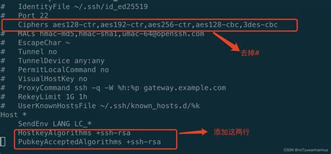 更新 Macos Ventura Ssh堡垒机报错：no Matching Host Key Type Found Their Offer