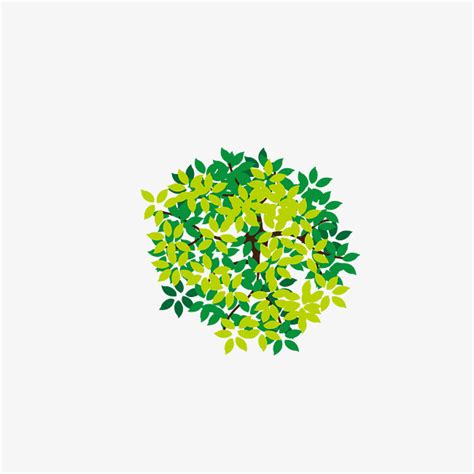 Tree Top Vector At Getdrawings Free Download