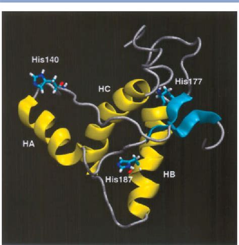 figure 1 from proteins structure o function o bioinformatics research