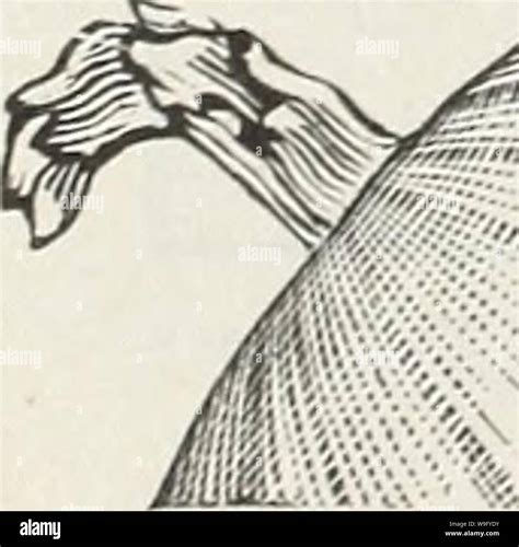 Loamy Soil Hi Res Stock Photography And Images Alamy