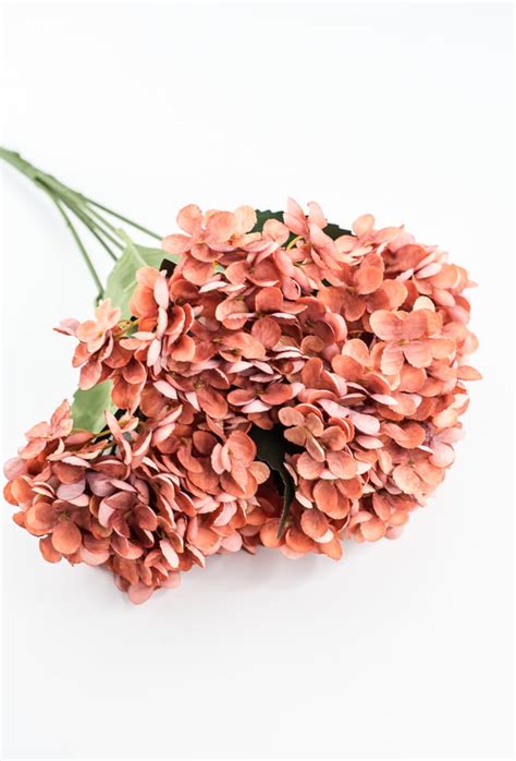 Rust Hydrangea Bush Greenery Market