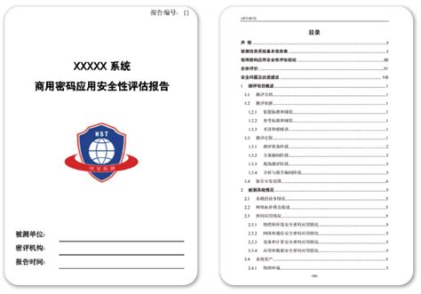 商用密码应用安全性评估概述 密评服务