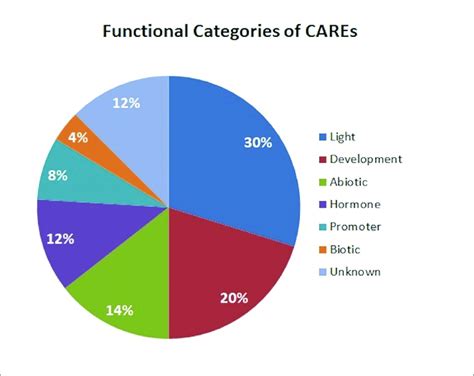 Functional Classification Of Predicted Cis Elements In Stdreb Promoter Download Scientific