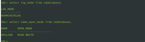Enable Disable Archivelog Mode In Oracle Database