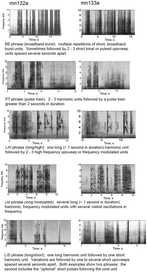 Spectrograms Were Generated In Matlab Hamming Window Fft Size 2048