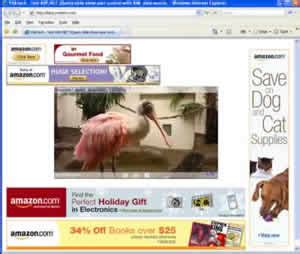 ASP NET MVC Slideshow Control Using JQuery And XML