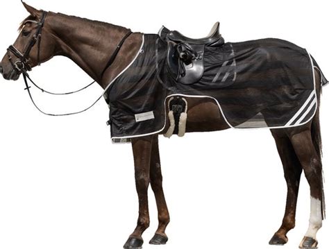 Copy Of Reflex Exercise Sheet Bol