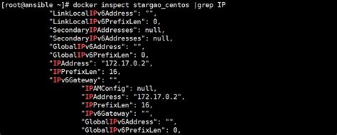 Docker创建与查看容器常用参数解读