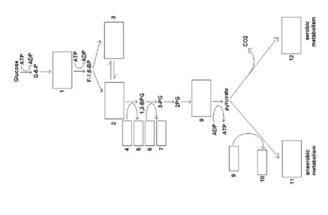 Solved Indicate On The Figure Over The Page The Chegg