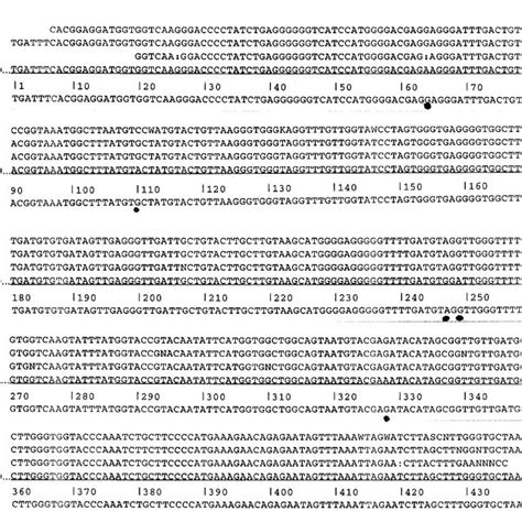 An Electropherogram Produced By An Applied Biosystems Model 373a Dna