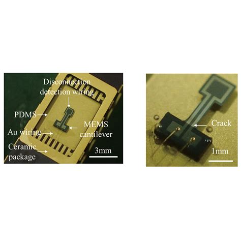 Sensors And Materials