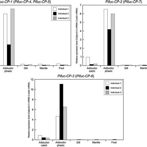 Palmers Classification Of Modality Download Table