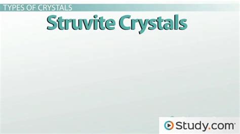 Crystals In Urine Meaning And Causes Lesson Study Com