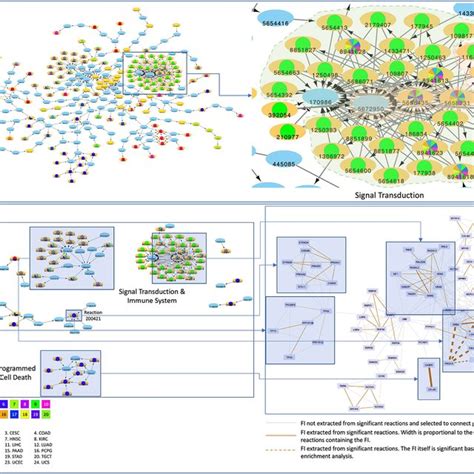 A A Reactome Reaction Sub Network Constructed Based On Significant