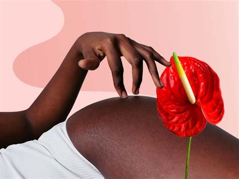 If You Think You Arent Having A Normal Amount Of Sex Read This