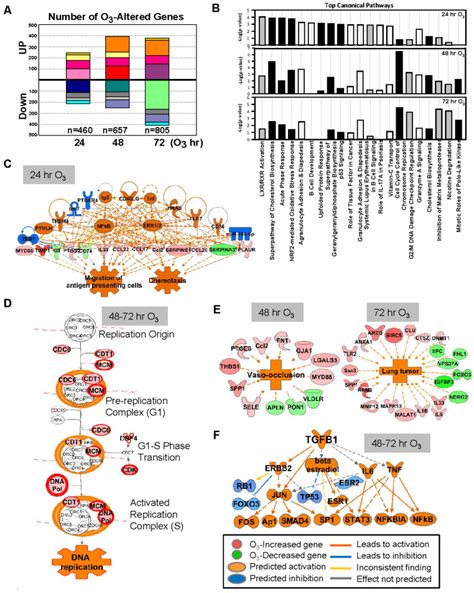 Transcriptomics Underlying Pulmonary Ozone Pathogenesis Regulated By