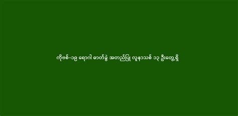 ကိုဗစ် ၁၉ ရောဂါ ဓာတ်ခွဲ အတည်ပြု လူနာသစ် ၁၃ ဦးတွေ့ရှိ Myawady Webportal
