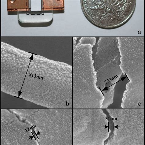 Photo And Sem View Of Sensor A Photo Of Sensor Prototype B Sem Of