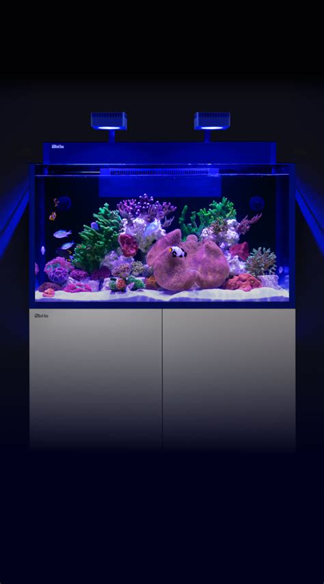 The MAX NANO G XXL The Ultimate Plug Play Reef Aquarium