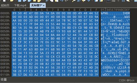 Ctfshow Web入门 文件包含（web88、web116、web117）ctfshow Web116 Csdn博客