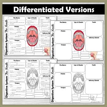 Digestive System Anatomy Doodle Notes PPT Slides Lecture Notes