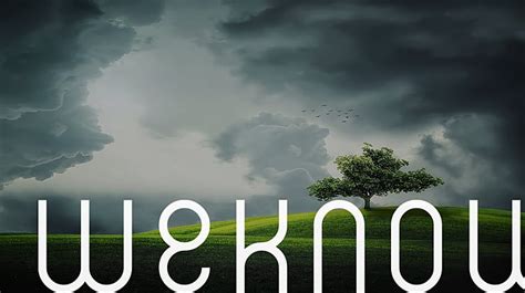 Weknow Font Download Free For Desktop Webfont