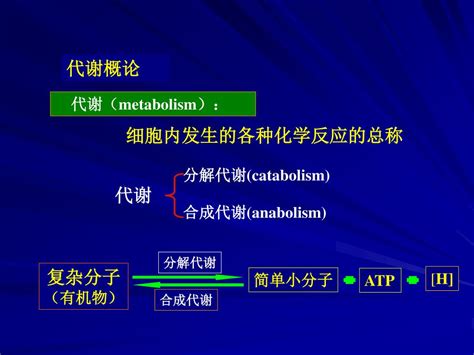 Ppt 第七章 微生物的代谢 Powerpoint Presentation Free Download Id 4352628