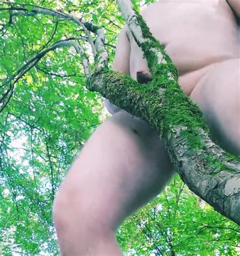 Sex With Trees ThisVid Com